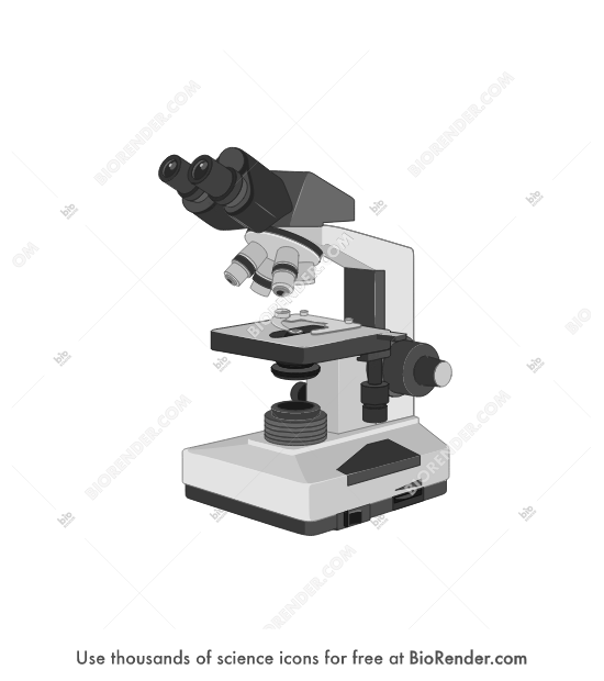 Free Binocular Light Microscope Icons Symbols Images BioRender