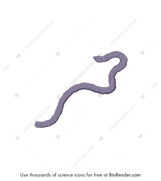 Free Microribbon Icons, Symbols & Images | BioRender