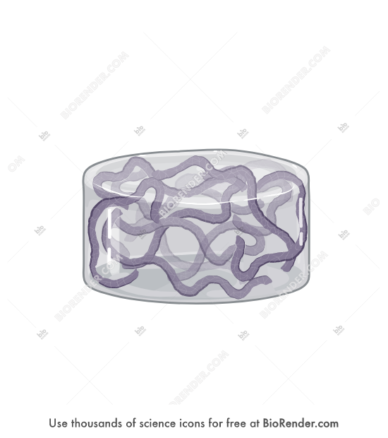 Free Microribbon (in hydrogel) Icons, Symbols & Images | BioRender