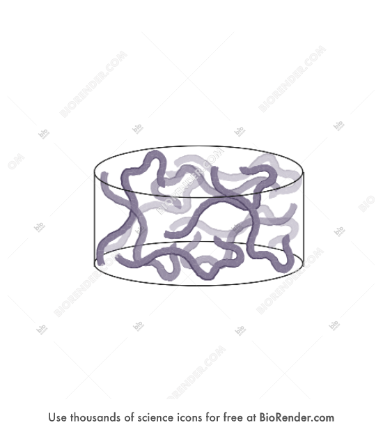 Free Microribbon (scaffold) Icons, Symbols & Images | BioRender