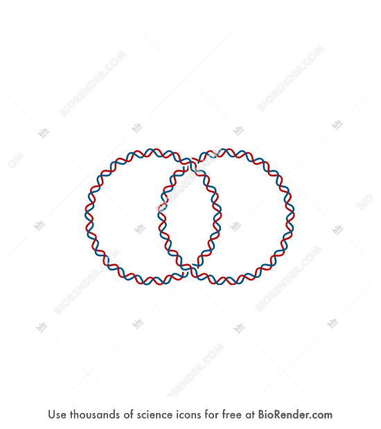 Free DNA (catenated 2) Icons, Symbols & Images | BioRender