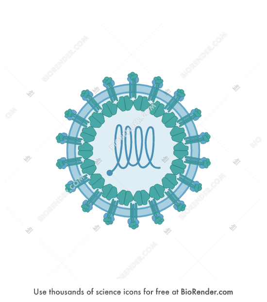Free Alphavirus Icons, Symbols & Images | BioRender