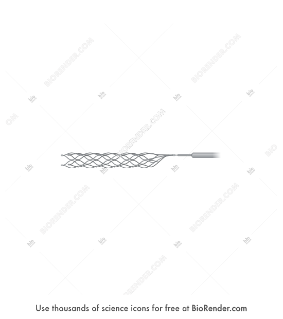 Free Solitaire stent Icons, Symbols & Images | BioRender