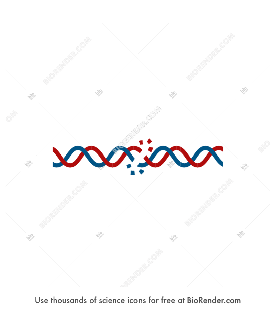 Free DNA (double-stranded break) Icons, Symbols & Images | BioRender