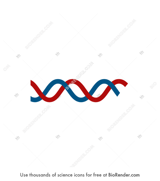 Free DNA (double-stranded break left) Icons, Symbols & Images | BioRender