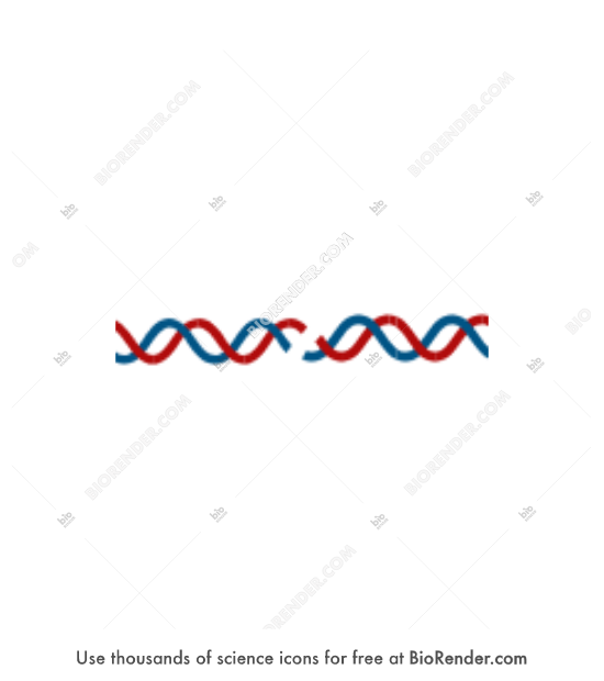Free DNA double-stranded break no fragments Icons, Symbols & Images ...