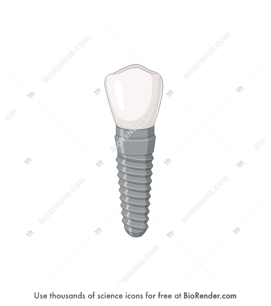 Free Dental implant (premolar) Icons, Symbols & Images | BioRender