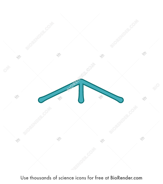 Free Clathrin Schematic Side View Icons Symbols And Images Biorender
