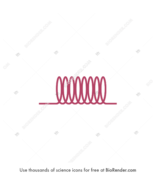 Free Sarcomere (titin, contracted) Icons, Symbols & Images | BioRender