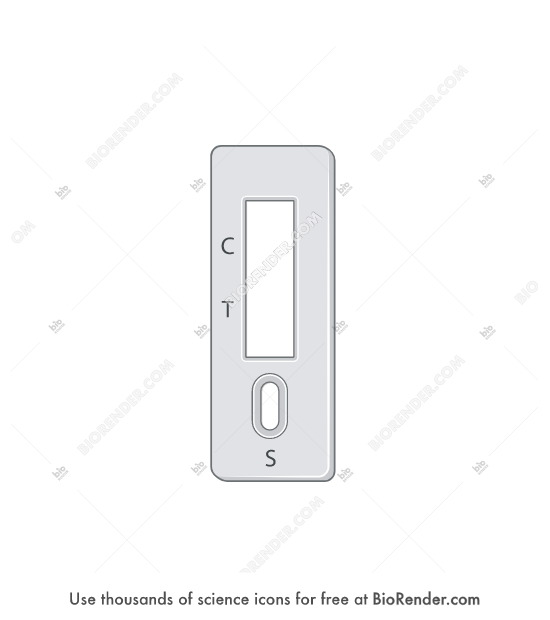 Free Lateral flow test (invalid 2) Icons, Symbols & Images | BioRender
