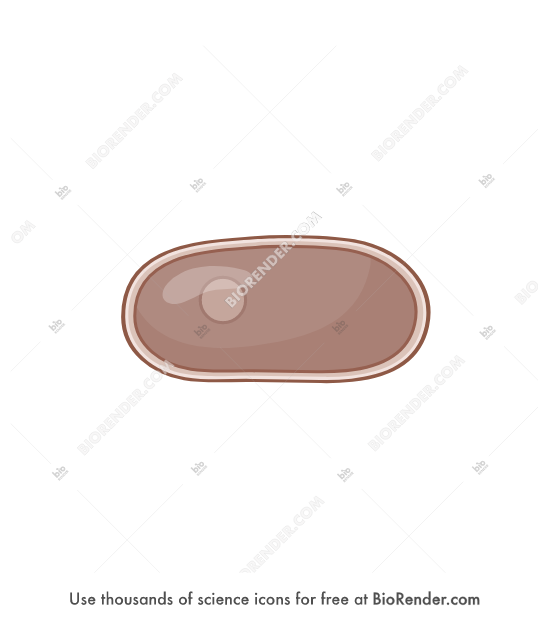 Free Root-knot nematode (egg 1) Icons, Symbols & Images | BioRender
