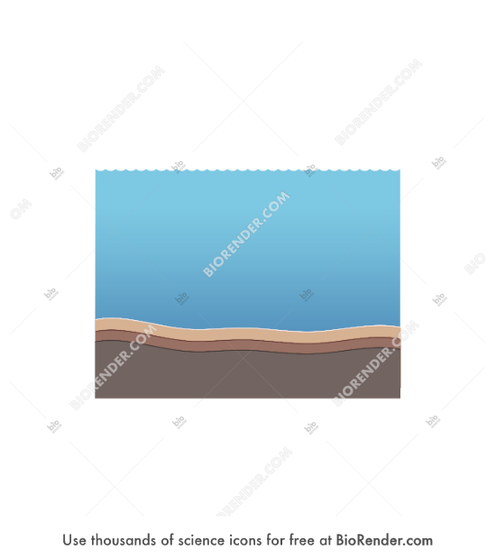 Free Ocean (side view) Icons, Symbols & Images | BioRender