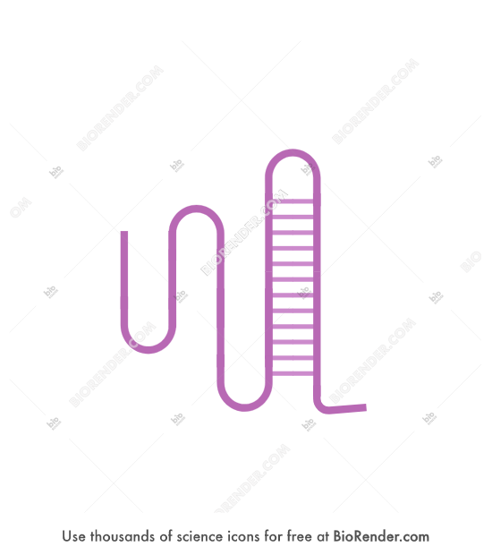 Free Single guided RNA (sgRNA) 3 Icons, Symbols & Images | BioRender