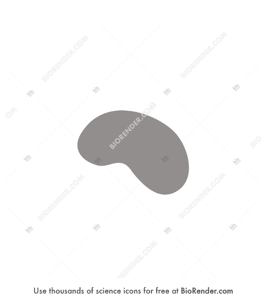 Free HIV (protease) Icons, Symbols & Images | BioRender