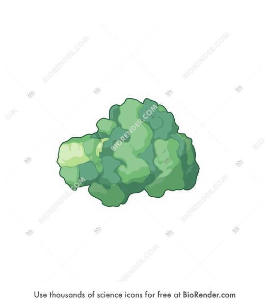 Free Ribosome (3D, 50s) Icons, Symbols & Images | BioRender