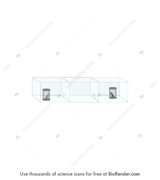 Free Rodent chamber (3-chambered social test) Icons, Symbols & Images ...