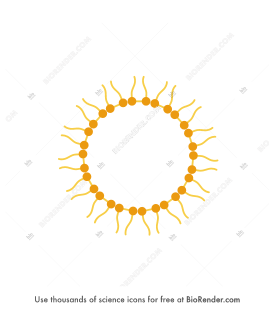 Free Micelle (gemini-inverted) Icons, Symbols & Images | BioRender