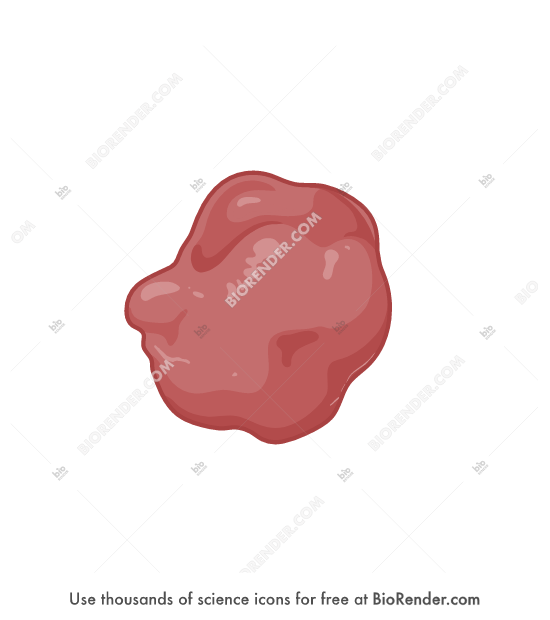 Free Tissue sample 2 Icons, Symbols & Images | BioRender