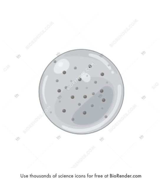 Free Hydrogel (spherical, emulsion) Icons, Symbols & Images | BioRender