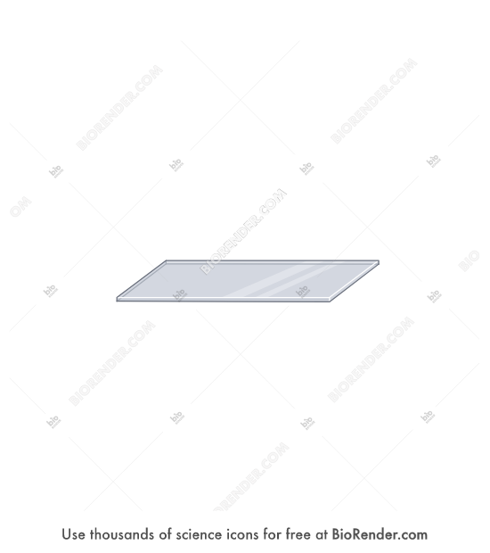 Free Glass slide (blank) Icons, Symbols & Images | BioRender