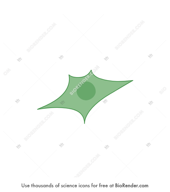 Free HEK 293T cell Icons, Symbols & Images | BioRender