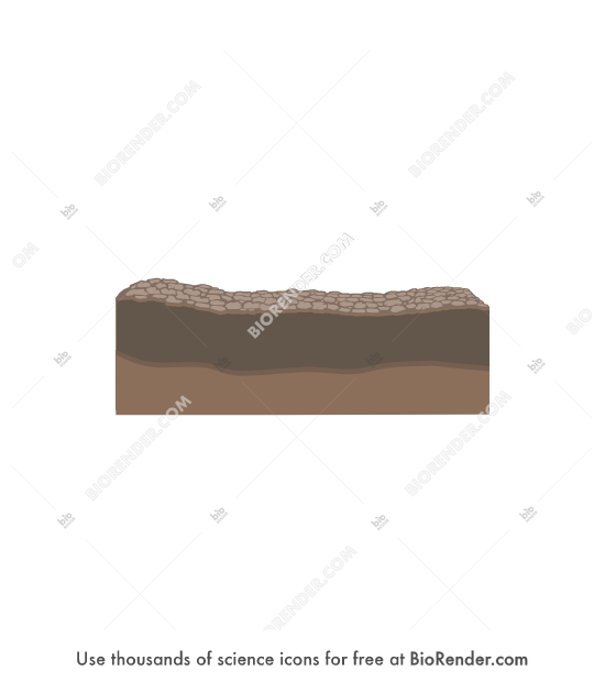 Free Land (soil, dry) Icons, Symbols & Images | BioRender
