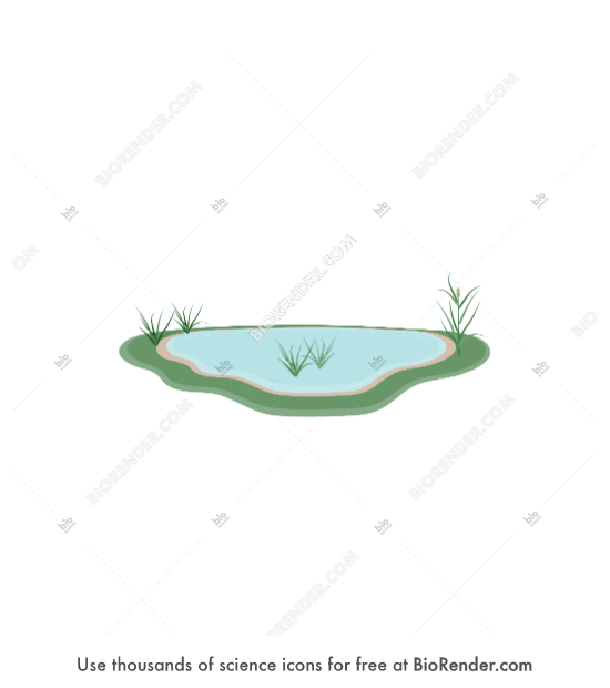 Free Wetlands Icons Symbols Images Biorender