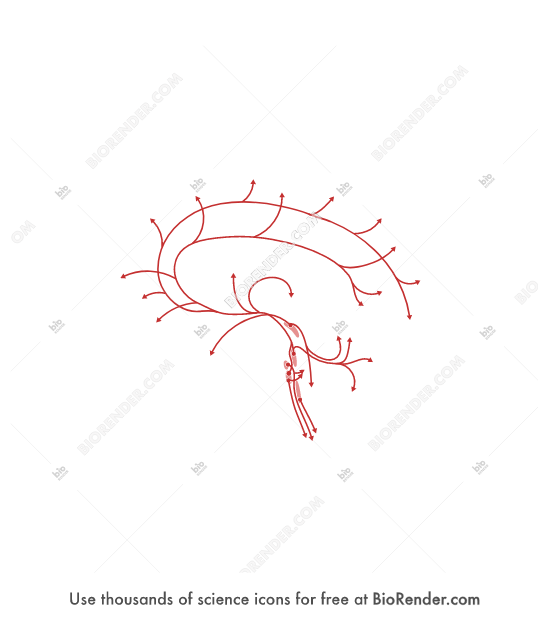 Free Serotonin Pathways Icons, Symbols & Images | BioRender