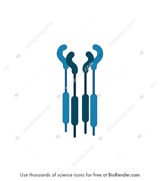 Free Tgf Beta Icons Symbols And Images Biorender