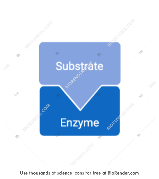 Free Generic enzyme 9 Icons, Symbols & Images | BioRender