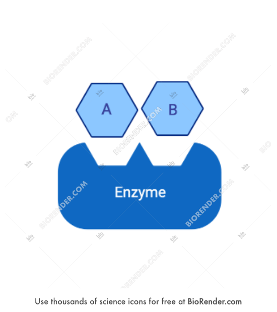 Free Generic enzyme 11 (complex) Icons, Symbols & Images | BioRender