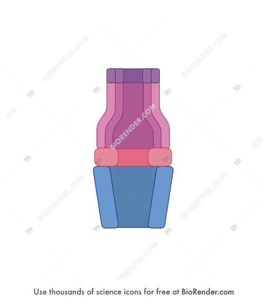 Free Type 6 secretion system ( membrane complex and baseplate) Icons ...