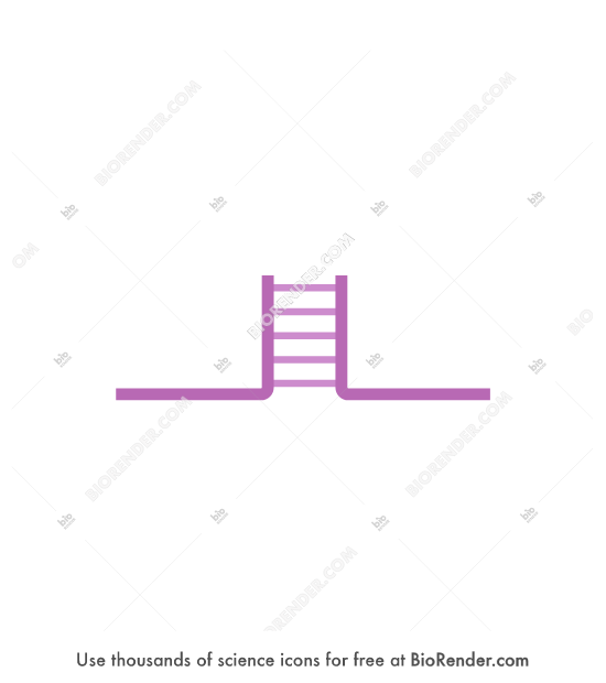 Free RNA (open end, short) Icons, Symbols & Images | BioRender