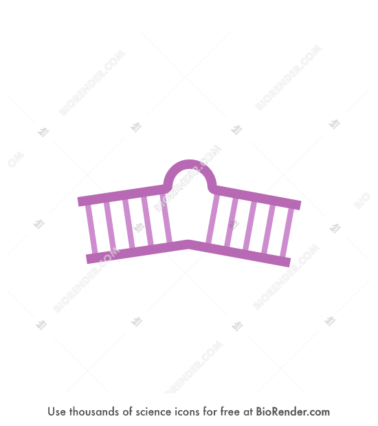Free RNA (single nucleotide bulge, bent) Icons, Symbols & Images ...