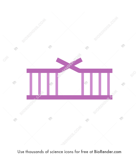 Free RNA (coaxial stack) Icons, Symbols & Images | BioRender