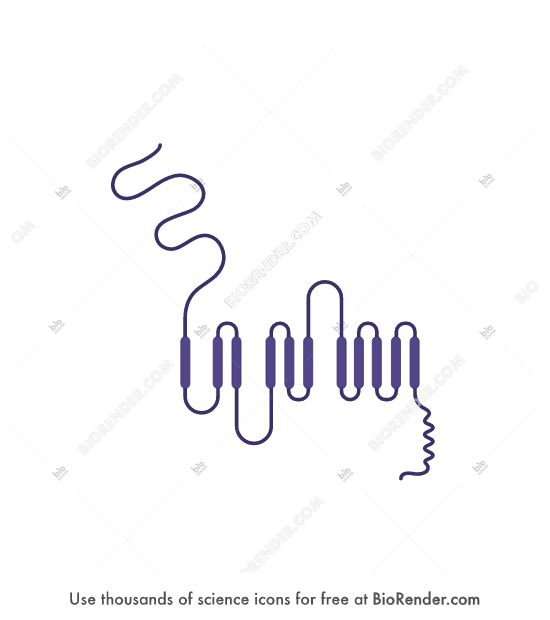 Free Polycystin 1 Icons Symbols And Images Biorender