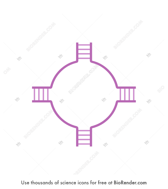 Free RNA (multiloop junction, medium, 4) Icons, Symbols & Images ...