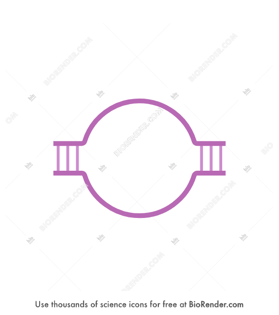 Free RNA (interior loop, large) Icons, Symbols & Images | BioRender