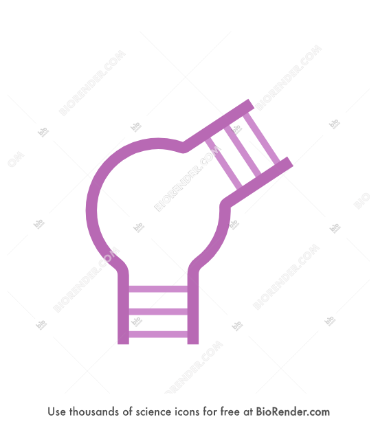 Free RNA (bulge loop, wide angle) Icons, Symbols & Images | BioRender