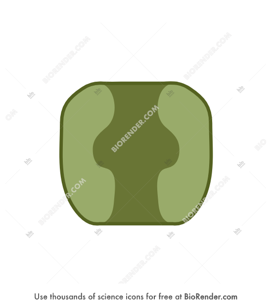 Free Type 4 secretion system (VirB11) Icons, Symbols & Images | BioRender