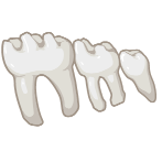 Free Mouse teeth (molars) Icons, Symbols & Images | BioRender