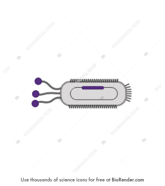 Free Phage display (circle) Icons, Symbols & Images | BioRender