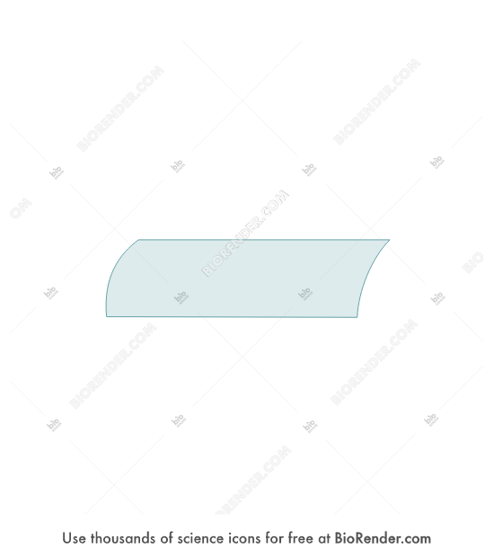 Free Vestibular system (macula, gel, bent) Icons, Symbols & Images ...