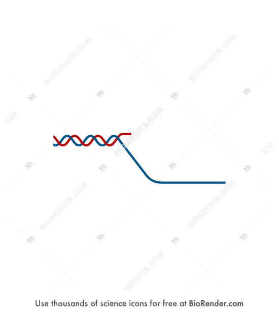Free DNA (2D, strand invasion, left, bottom) Icons, Symbols & Images ...