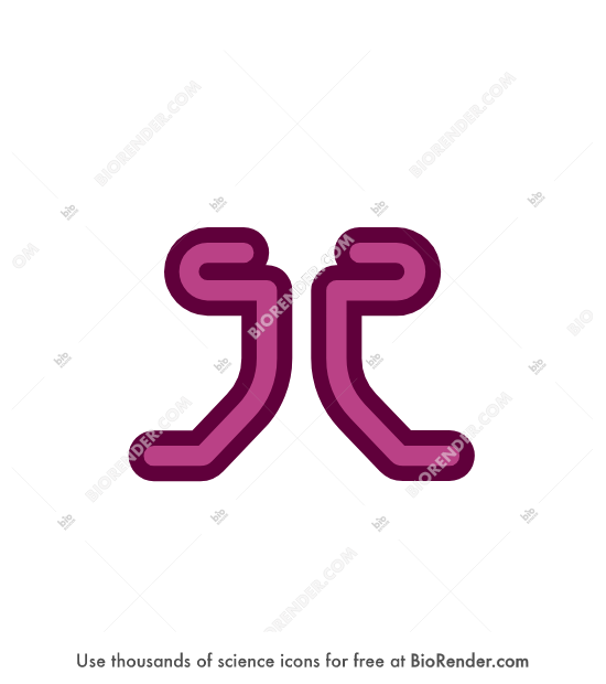 Free RSV (small hydrophobic protein) Icons, Symbols & Images | BioRender