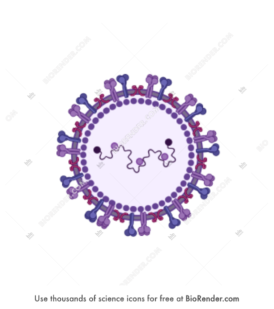 Free RSV Icons, Symbols & Images | BioRender