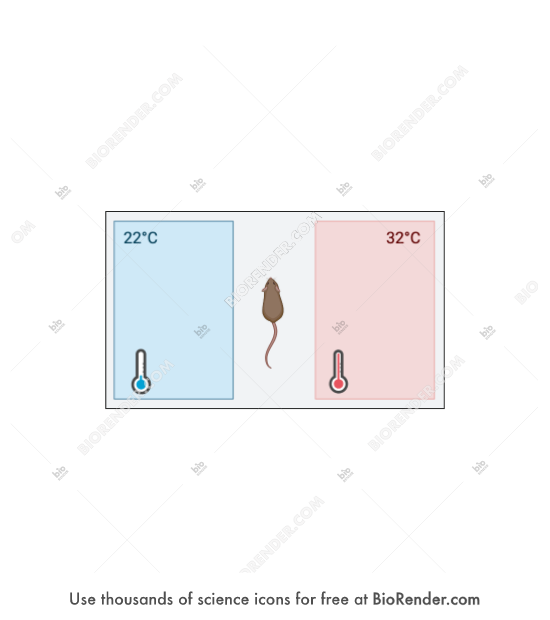 Free Mouse (temperature preference test) Icons, Symbols & Images ...