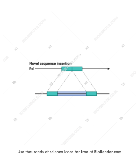 Free Genome Structural Variation Novel Sequence Insertion Icons Symbols And Images Biorender