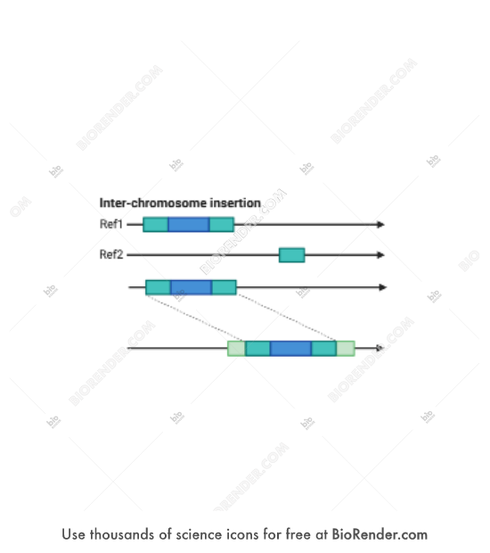 Free Genome structural variation (interspersed duplication) Icons ...