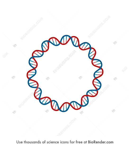 Free DNA (circular, small) Icons, Symbols & Images | BioRender
